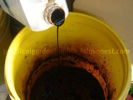 Practical Gardening: Easy Homemade Fish Emulsion Fertilizer