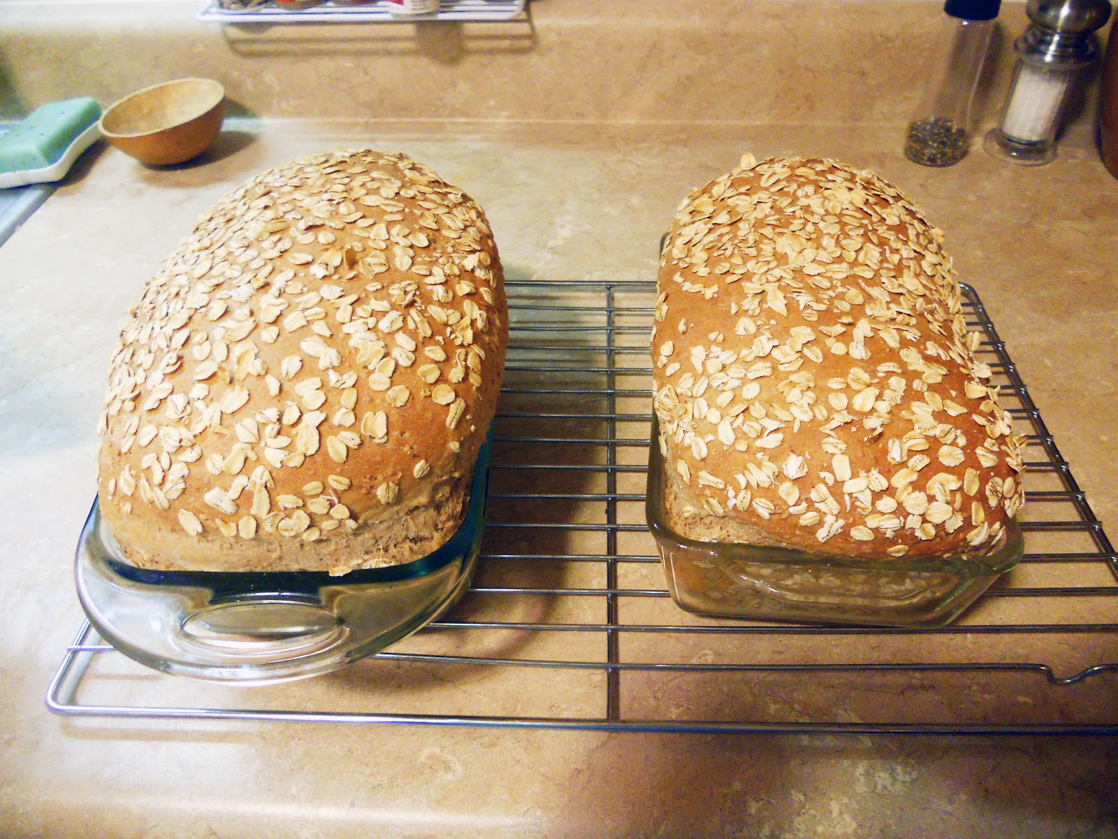 The Scoop Kitchen: Homemade 7 Grain Bread