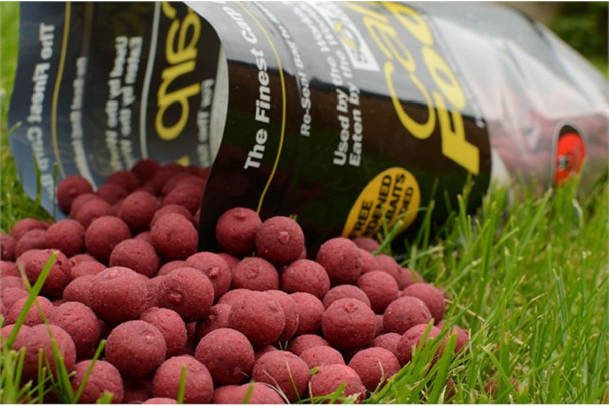 Шаранджийски риболов: Коя е най-добрата примамка за шарана