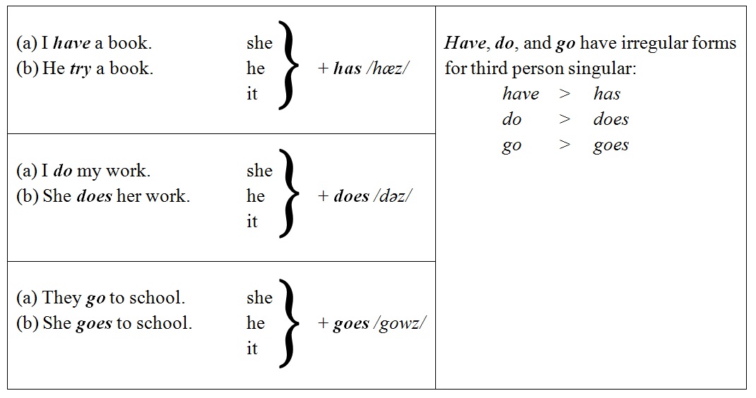 2-7 IRREGULAR SINGULAR VERBS: HAS, DOES, GOES