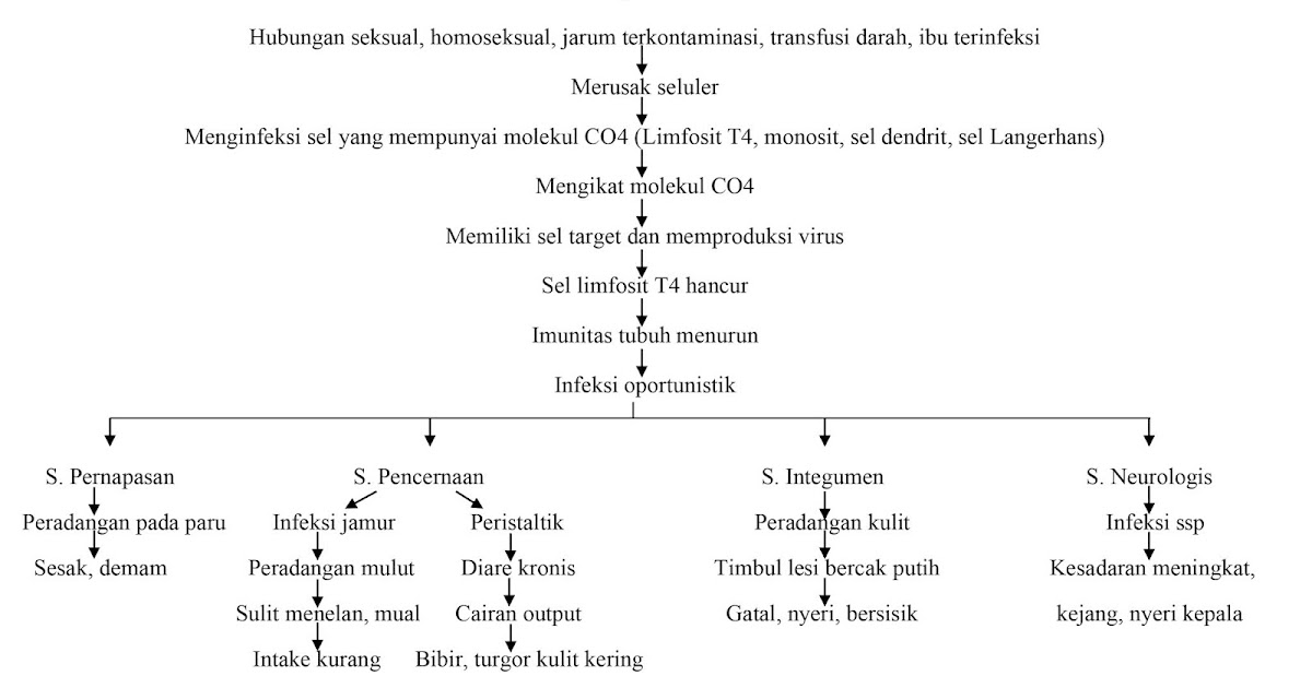 Pathway HIV AIDS