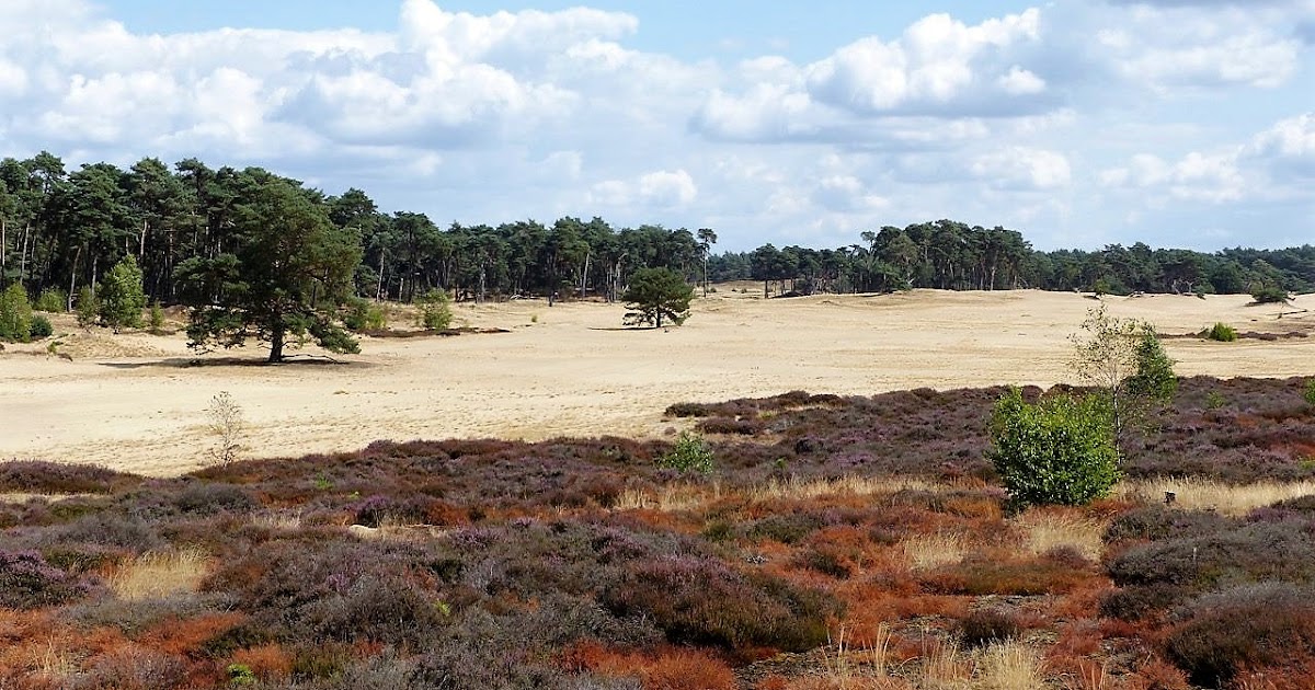 Mooiste Routes: Wandelen Lunteren, Celtic Fields