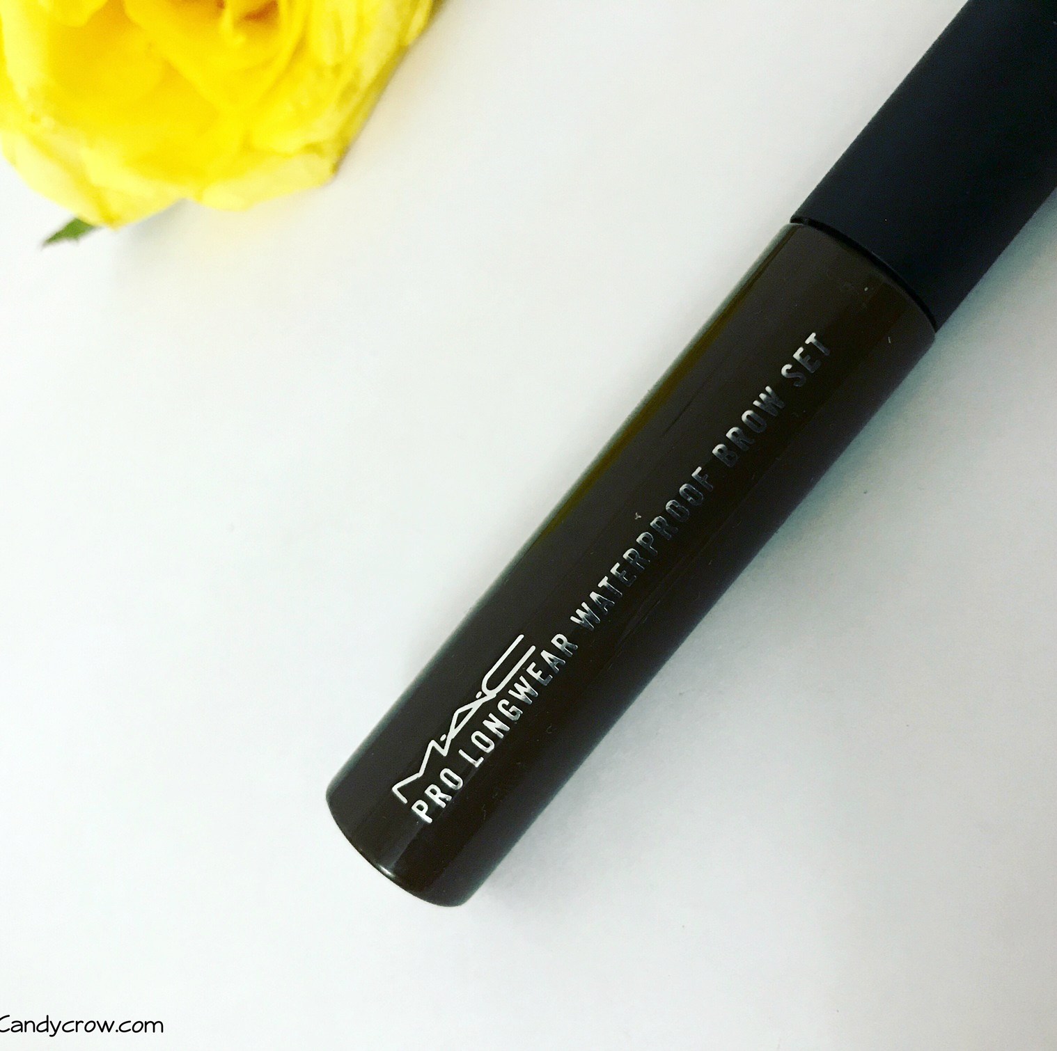 MAC PRO Longwear Brow Set - Brown Ebony Review - Candy Crow