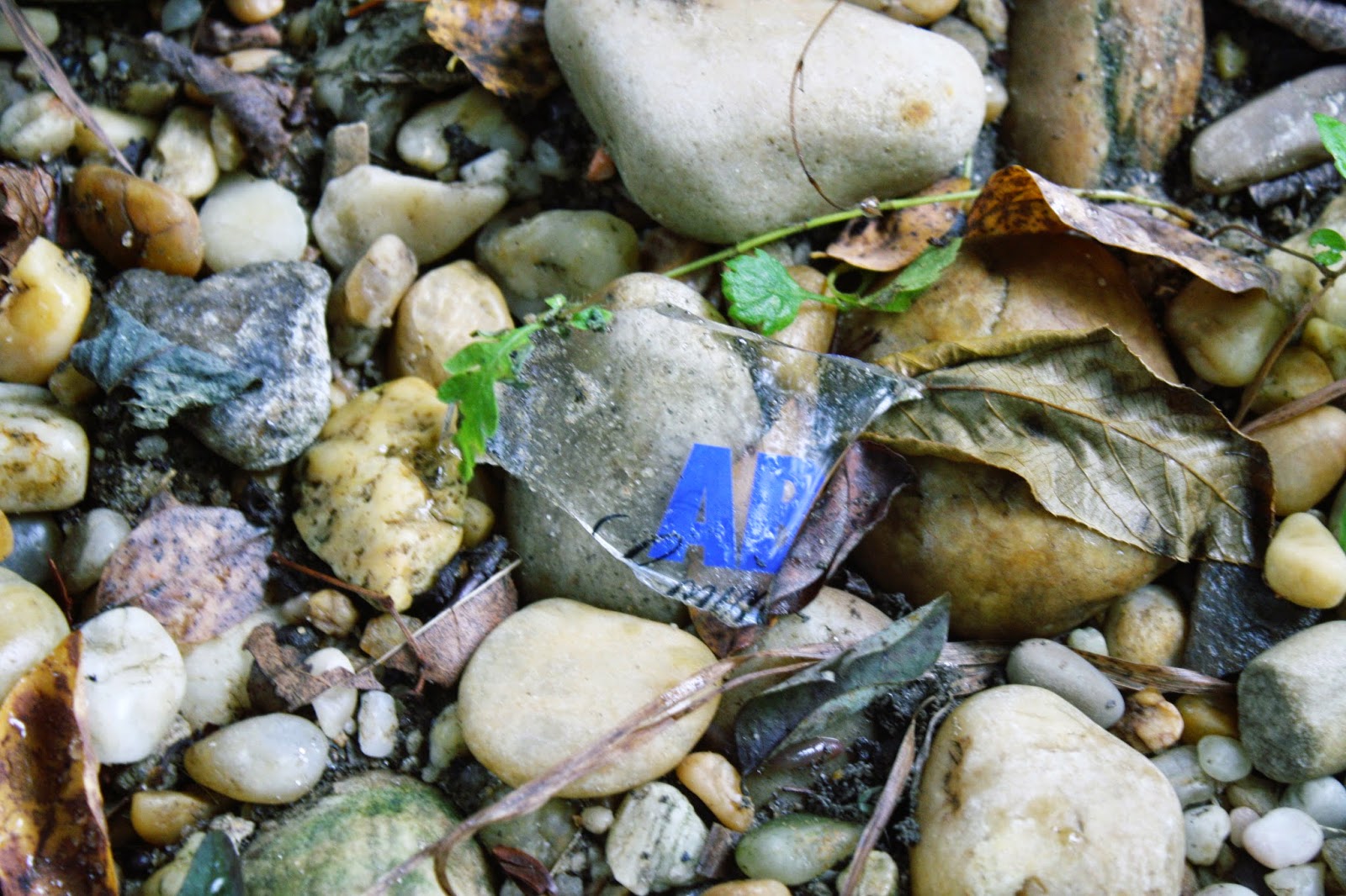 Intro to Multimedia Reporting: MaryPIRG Stream Cleanup