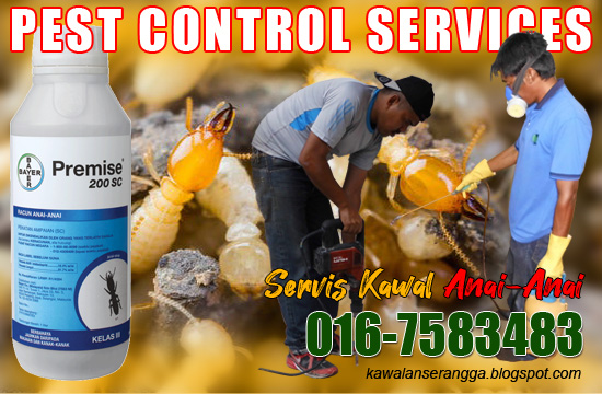 Penduduk Nusa Bayu Gelang Patah Bimbang Rumah Ada Anai-Anai