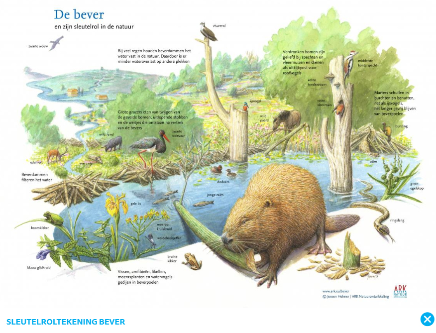 Natuurnotities Monique Smulders: 2018