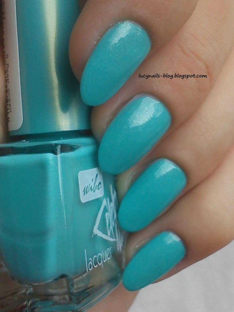Wibo Celebrity Nails 09 Deep Ocean | Lucy-nails