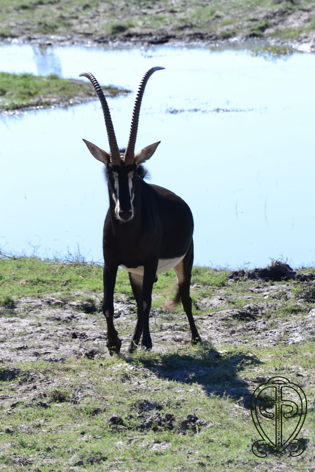 Meaghan the Mzungu: September 2014