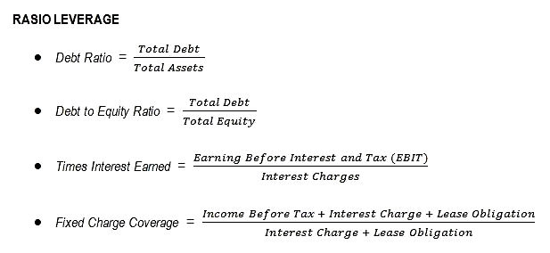 RASIO LEVERAGE | FINANCE - dandy`s file