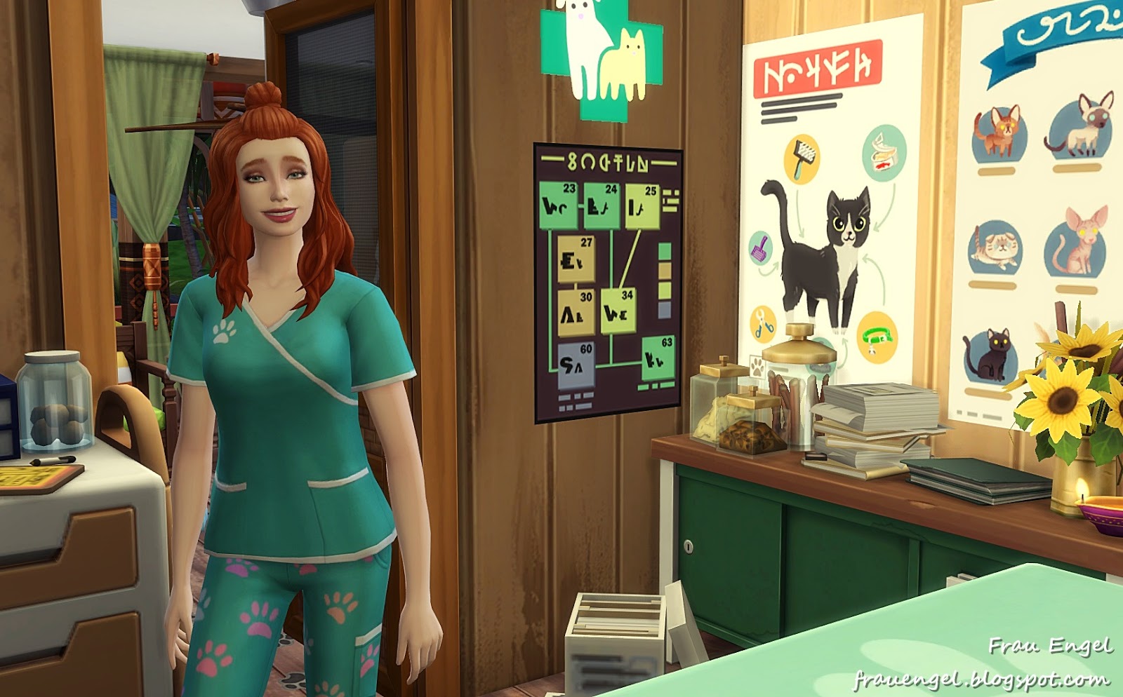 Frau Engel: Bird of Paradise Vet clinic. No CC.