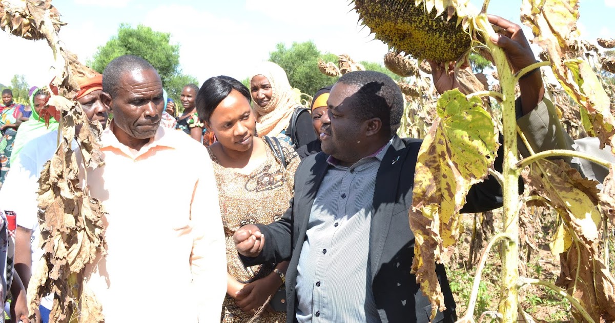 BLOG RASMI YA OFISI YA MKUU WA MKOA WA SINGIDA.: DC MKALAMA AKUTANA NA ...