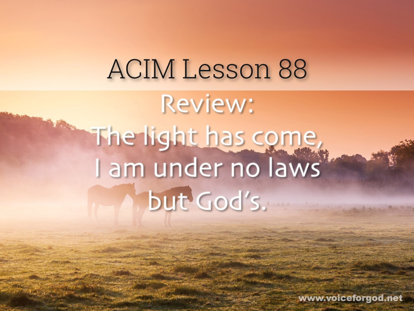 Miracle Life: ACIM Workbook Lesson 88