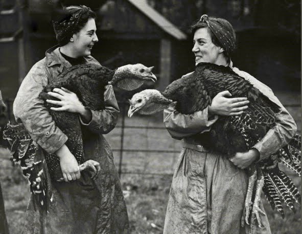 Home Shalom: Thanksgiving Turkey Tips