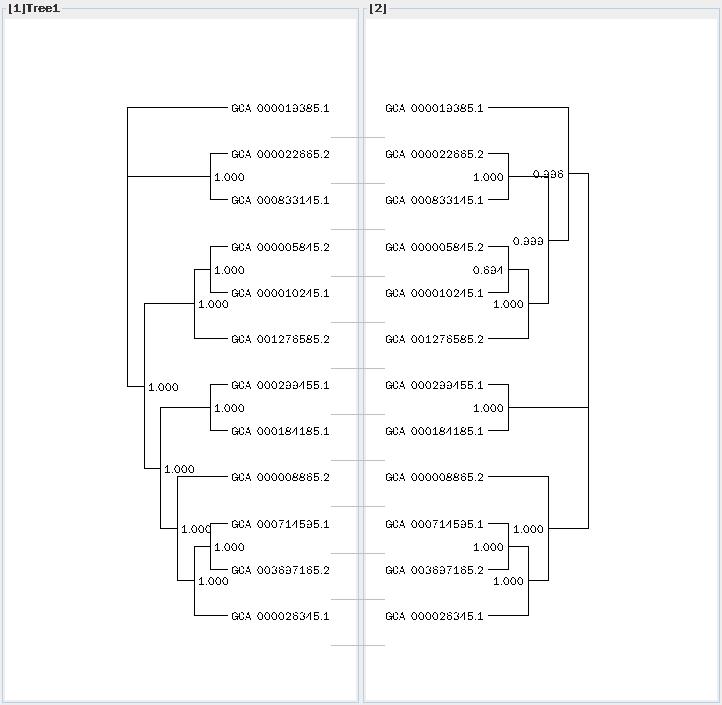 정해영의 블로그 - JEONG Haeyoung's blog: 두 개의 계통수를 비교하는 tanglegram 그리기