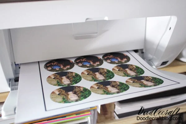 How to Make Vinyl Stickers with Cricut Printable Vinyl