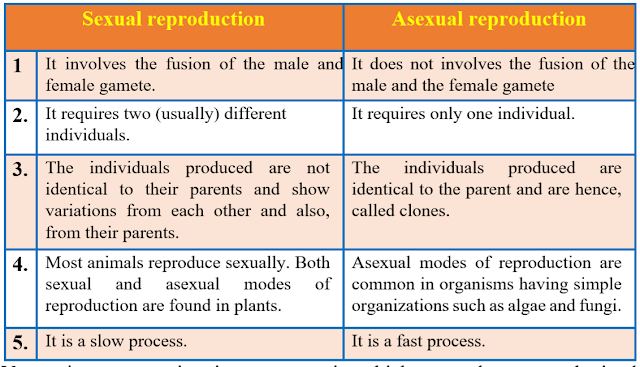 NCERT Solutions Of Class 12 Chapter 1 Reproduction In Organism Studypur ncert-solutions-of-class-12-chapter-1-reproduction-in-organism-studypur
