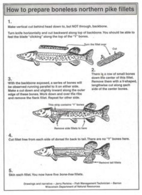 Lame Cherry: The Boneless Pike