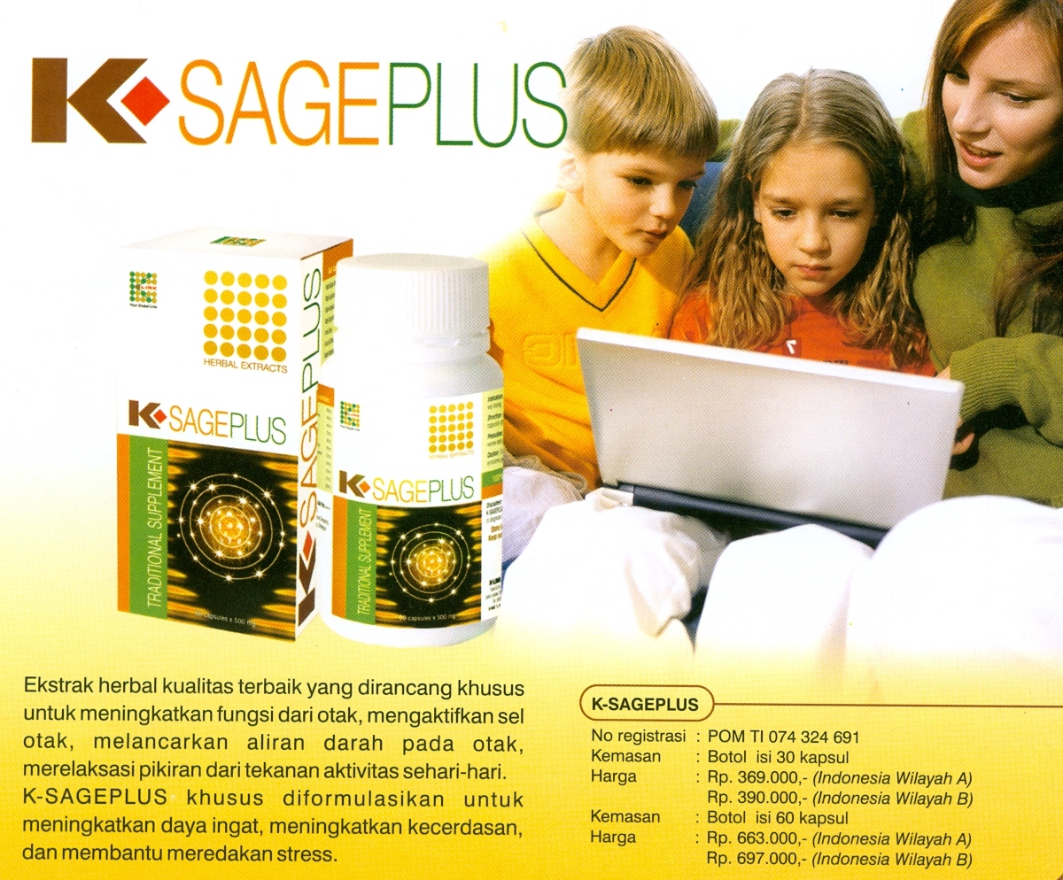 ECHKO's: Produk K-Link