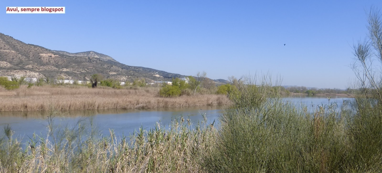 AVUI, SEMPRE. Dècades de muntanya: CICLANT PER L'AIGUABARREIG DEL SEGRE ...