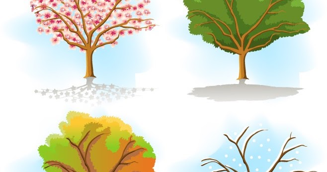 Plants: Plants change trough the seasons