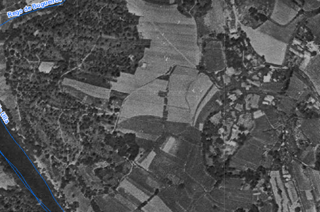 Rebúmbio remoído, peneirado ...: Algária ou Algália, o pastoralismo