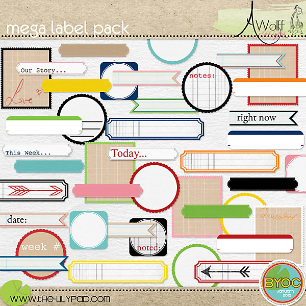 The Ney Life: Project Life June 17-23 / Week 25