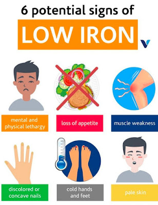 Potential Signs Of Low Iron