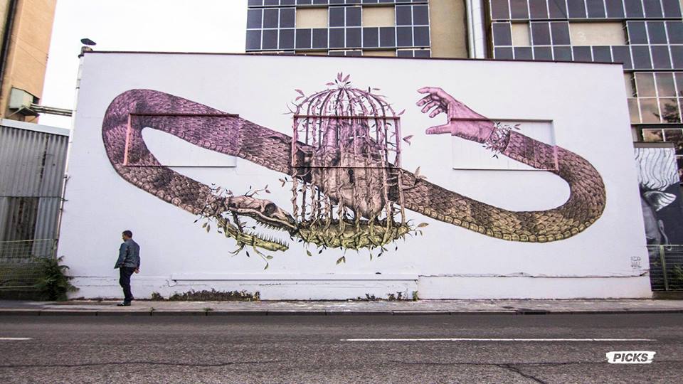 ideias de rua: ALEXIS DIAZ - GRAFFITI - PUERTO RICO