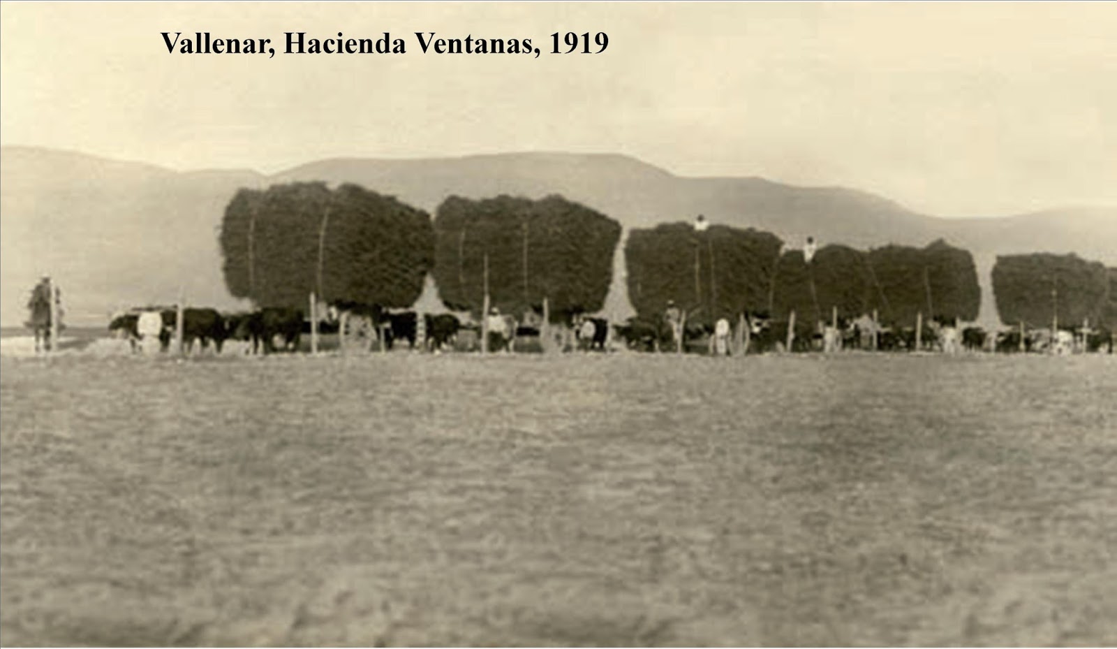 Imágenes de Chile del 1900: Vallenar