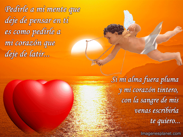Frases De Amor Con Imagenes Tiernas
