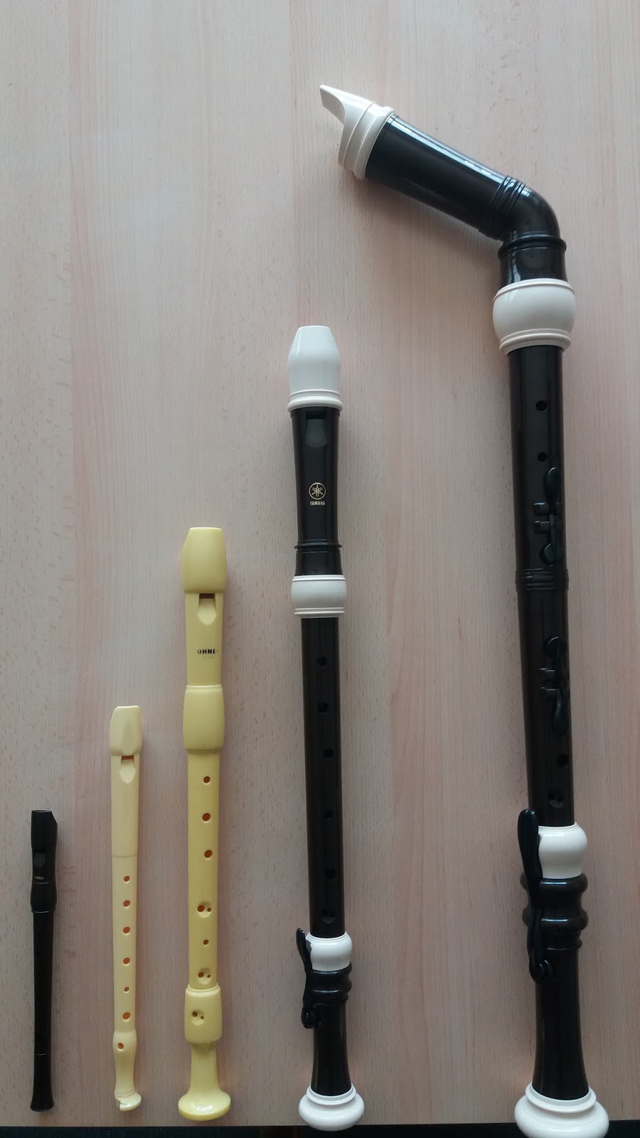 Música en Manjón : La flauta dulce o de pico y su familia