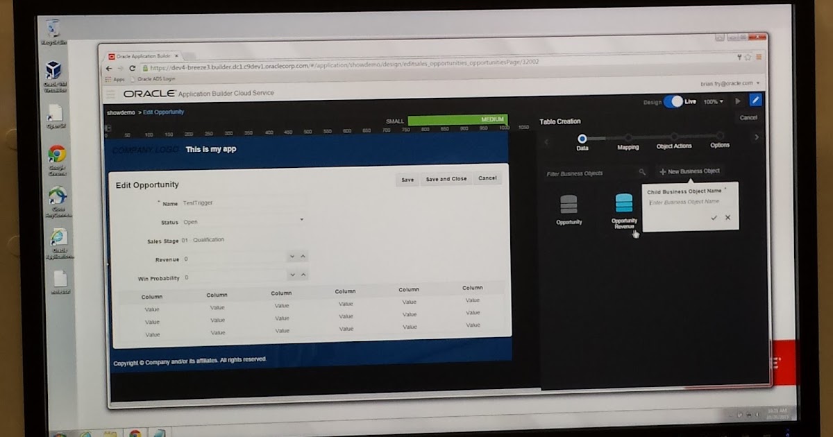 Oracle Applications Custom Development: Oracle Application Builder ...