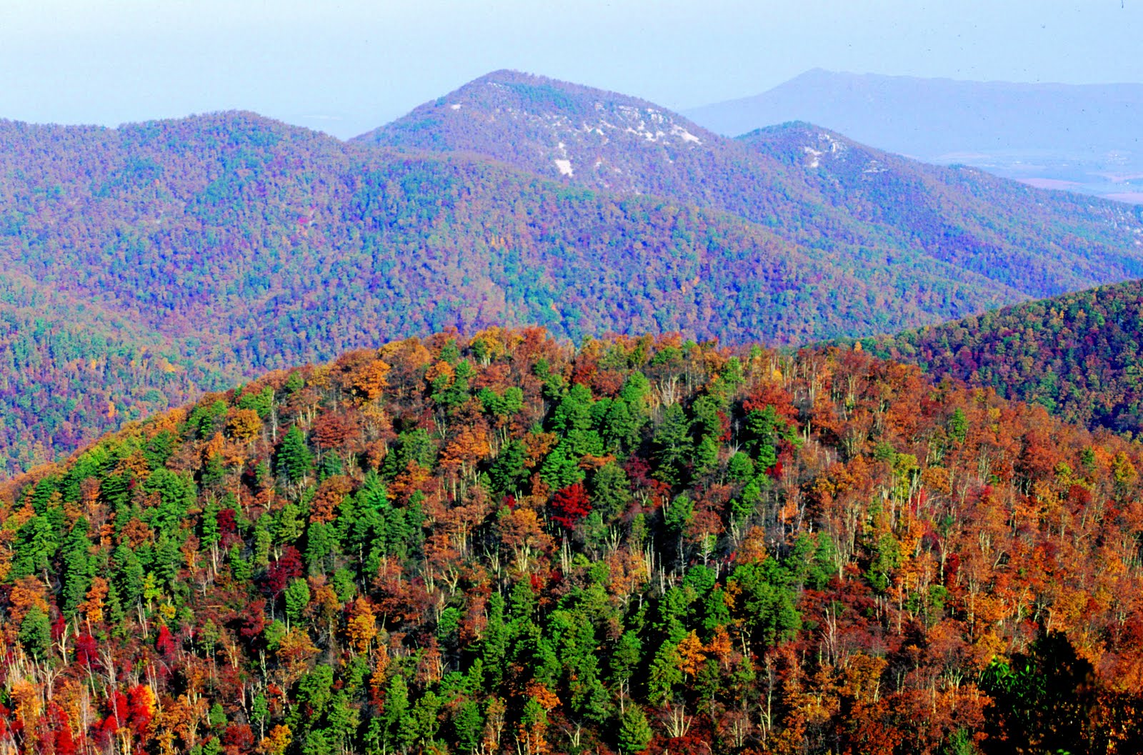 Blue Ridge Mountain Home: Fall Foliage