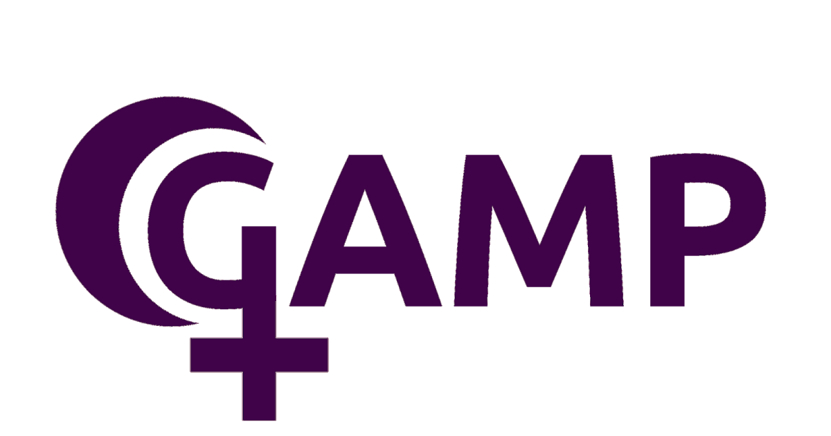 RELATÓRIO DAS ATIVIDADES DO GAMP 2020 - BALANÇO FINANCEIRO