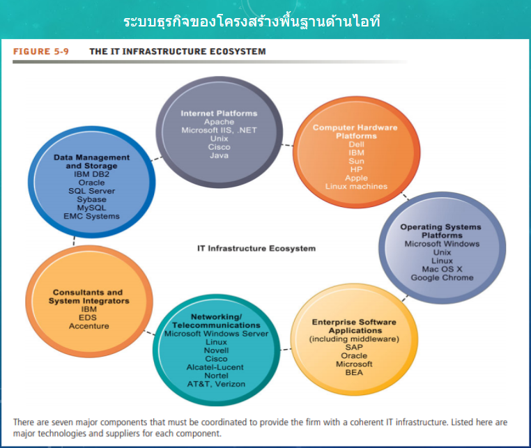 CHAPTER 5 : IT Infrastructure and Emerging Technologies