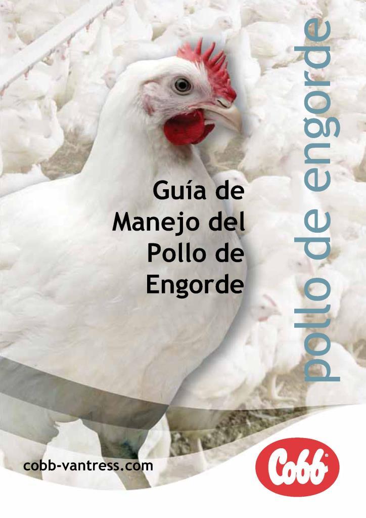 Guía de manejo del pollo de engorde – Pollo de engorde | FreeLibros