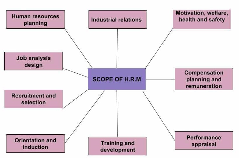 The importance of HRM in an organization