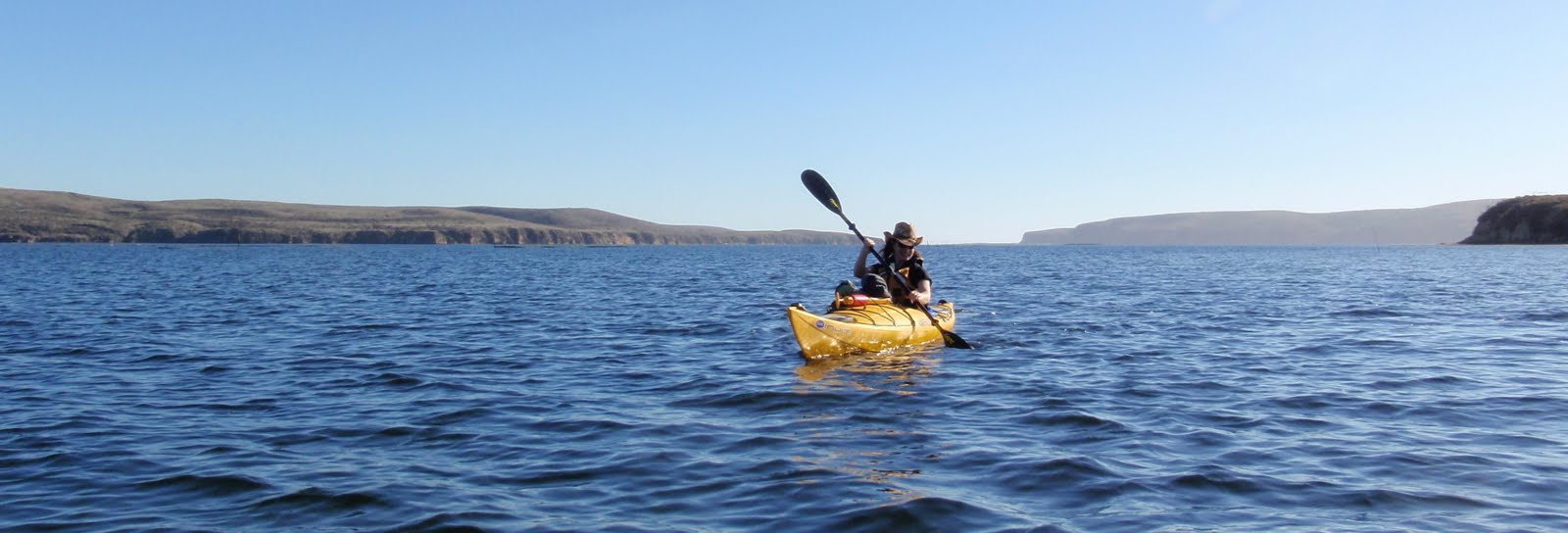 Leopard Shark vs Kayaking Veterinarian - Clavey Paddlesports