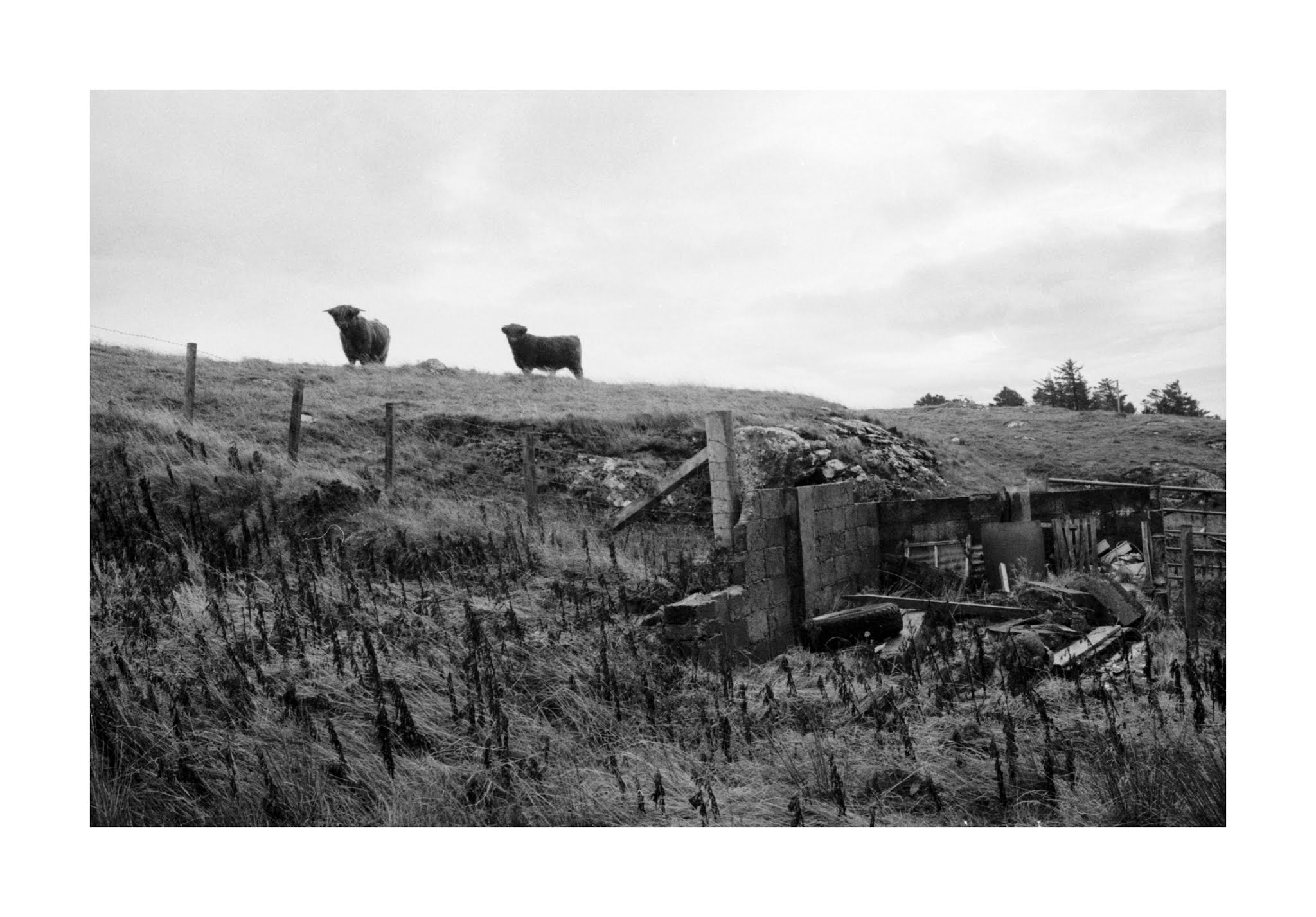 Boxes & Bellows: two