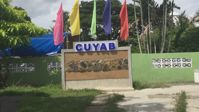Public and Private Resort Review: Cuyab Hot Warm Cold Spring Resort in ...