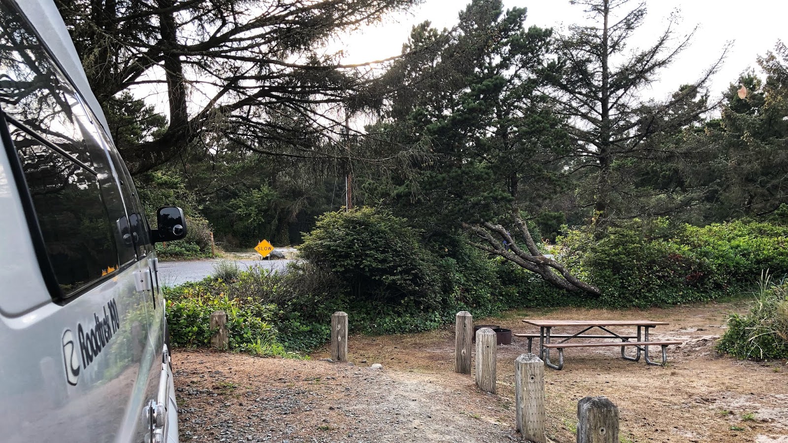 Over the Hill Sisters: 2019