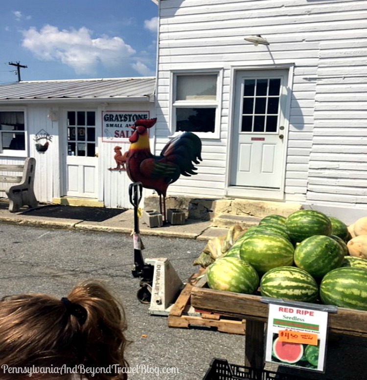 Pennsylvania & Beyond Travel Blog: Root's Country Market and Auction in ...
