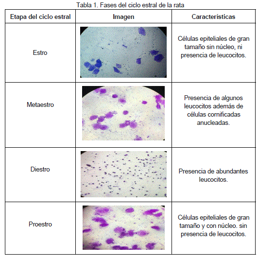 Bioquímica Diagnóstica BQD-YAI: 2019-11-17