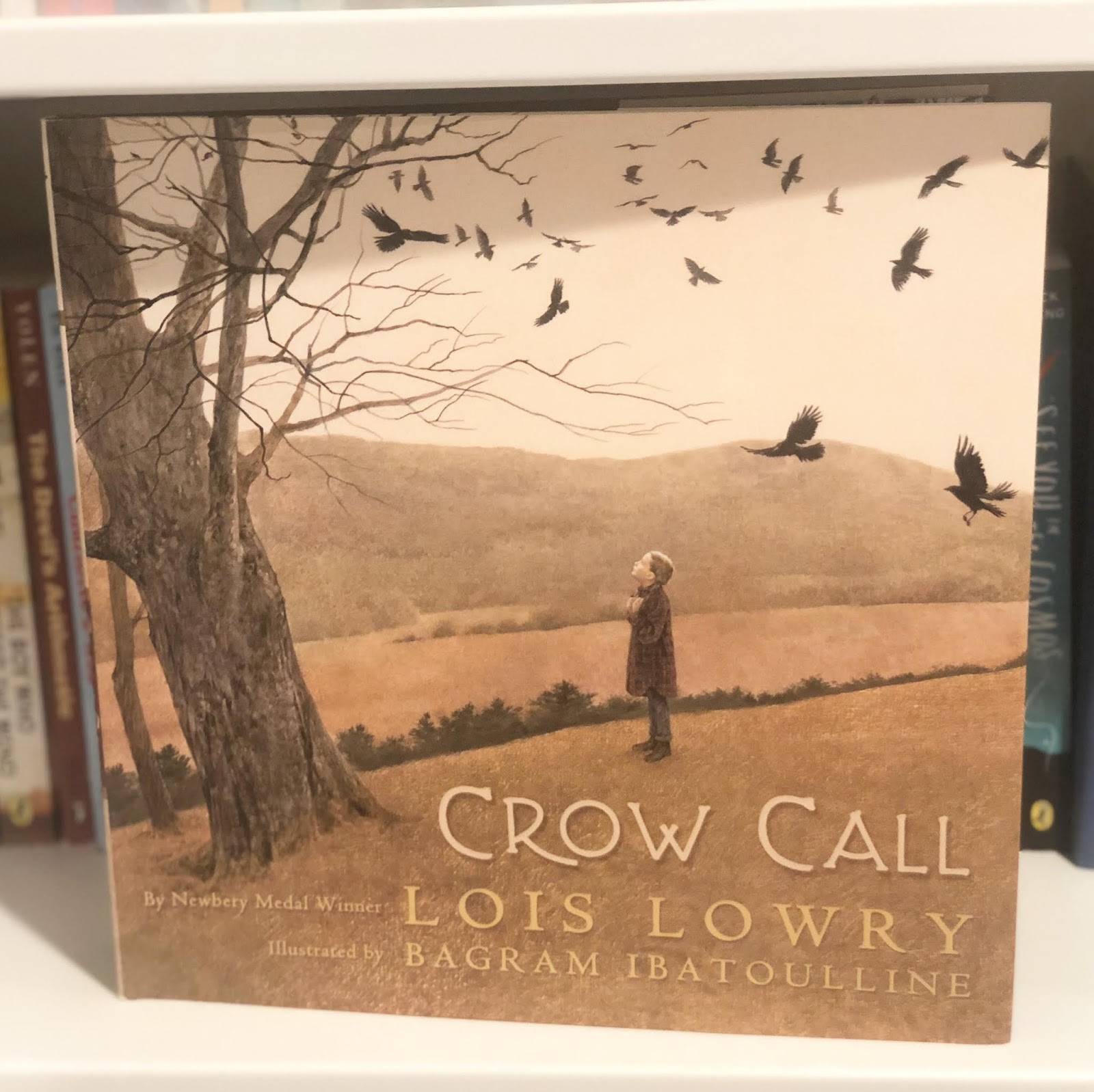 20 Picture Books for the Secondary English Classroom | SECONDARY SARA