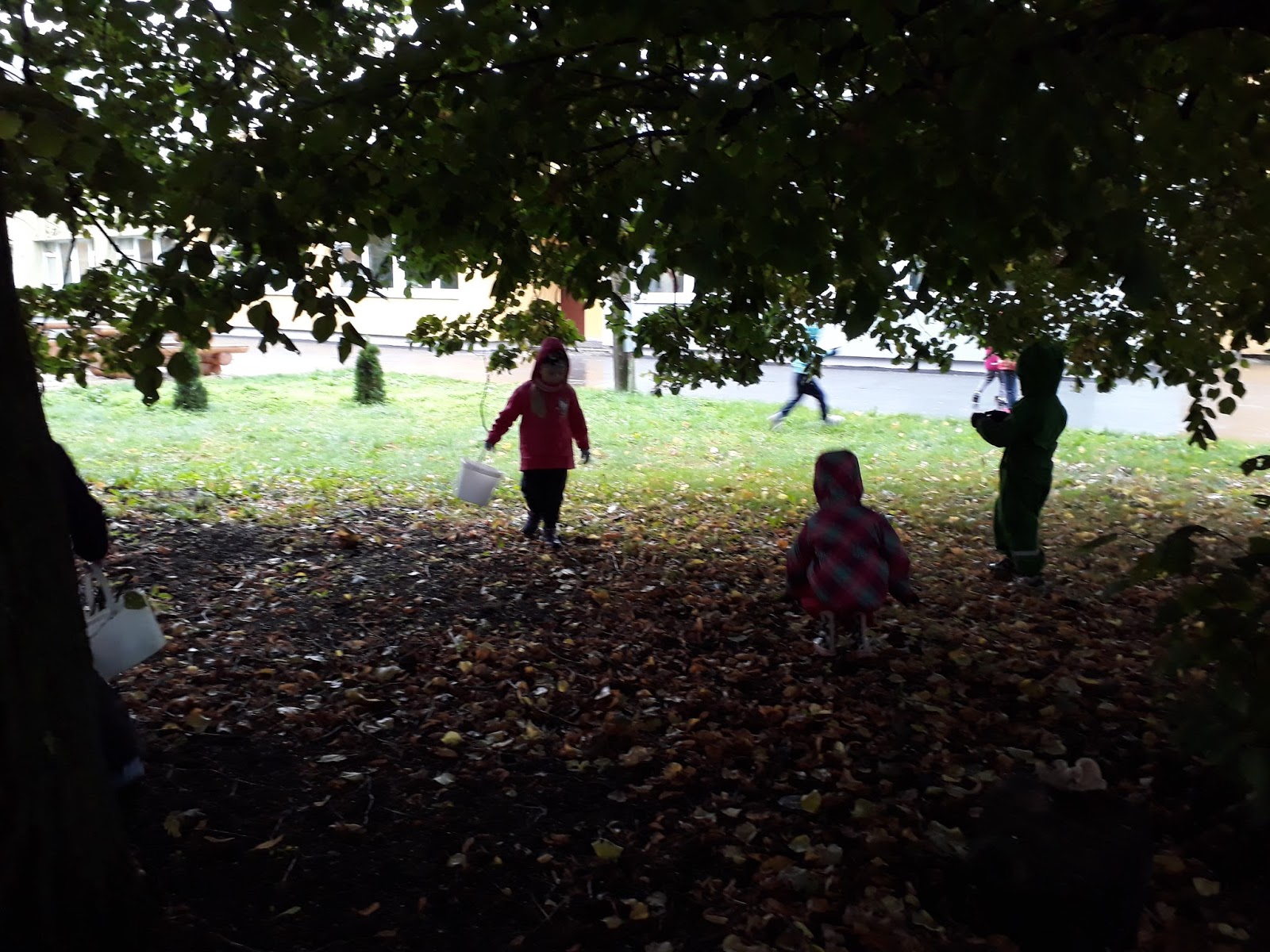 Roheline Kool Eestis Tallinna Tuule Lasteaed: Tuulekella rühma laste ...