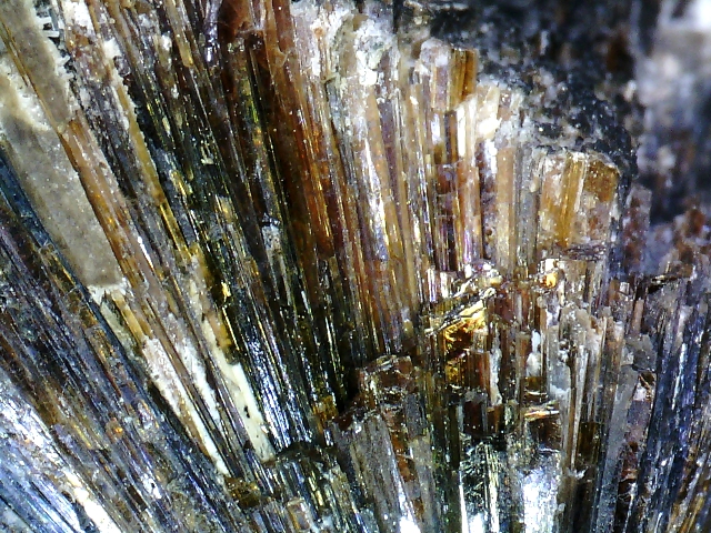 CSMS GEOLOGY POST: DENVER SHOW HAMBERGITE, LAMPROPHYLLITE, & KLEINITE