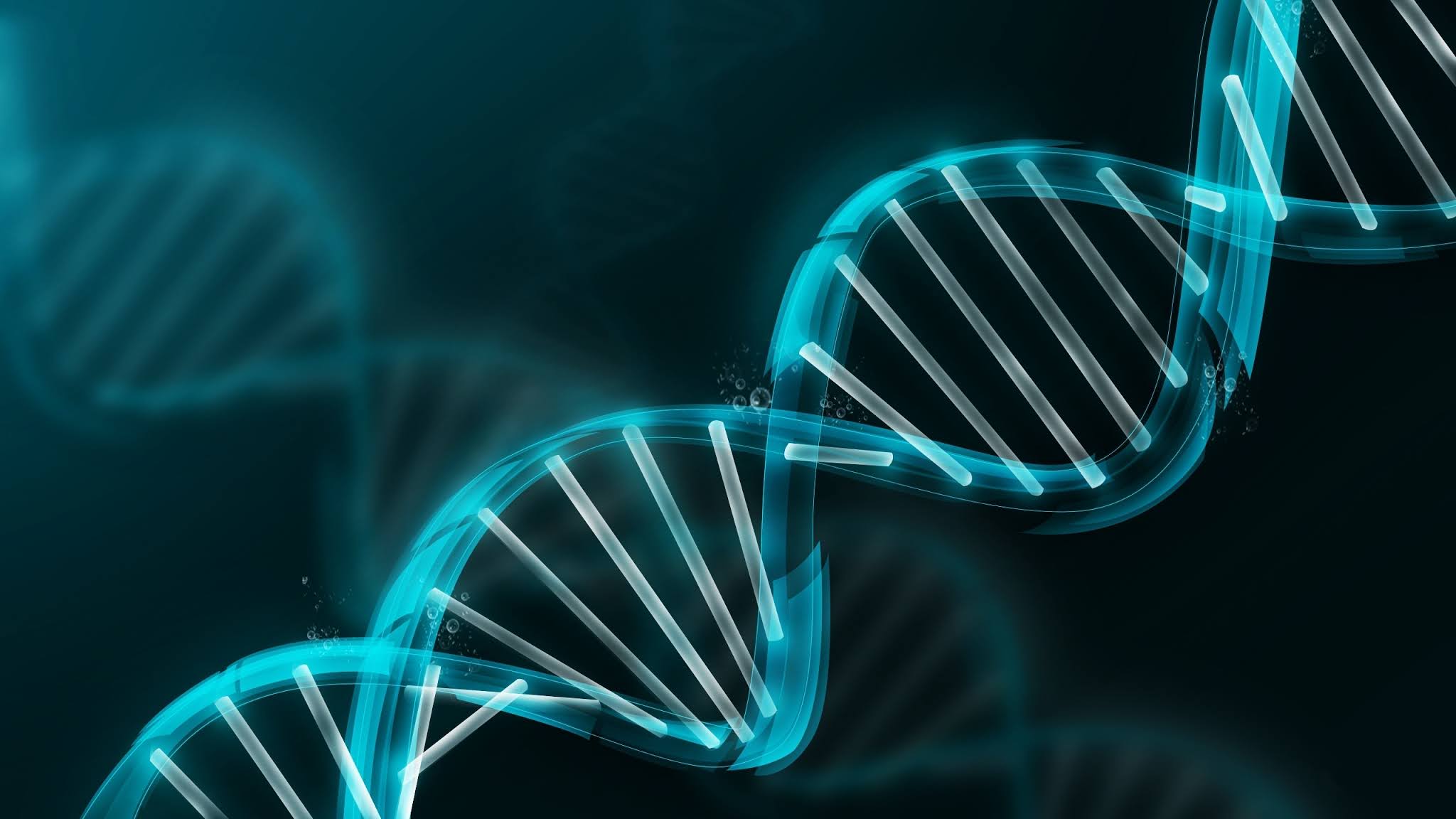Devotions: DNA is God’s Signature