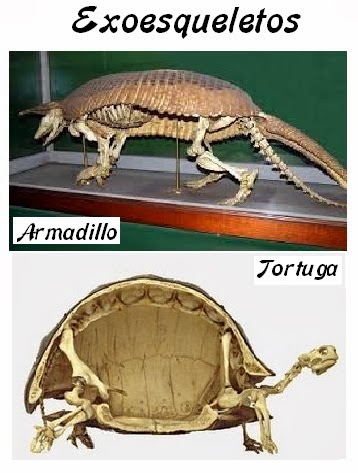 Desde las gavetas de mi escritorio: enero 2014