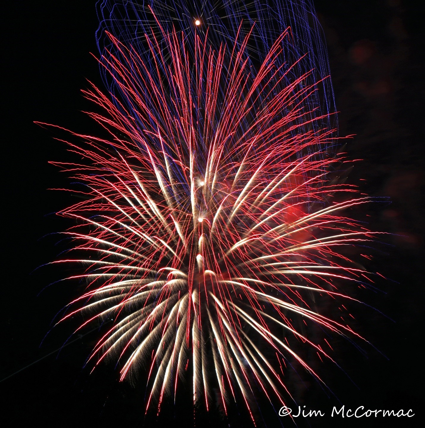 Ohio Birds and Biodiversity: Fireworks as Art