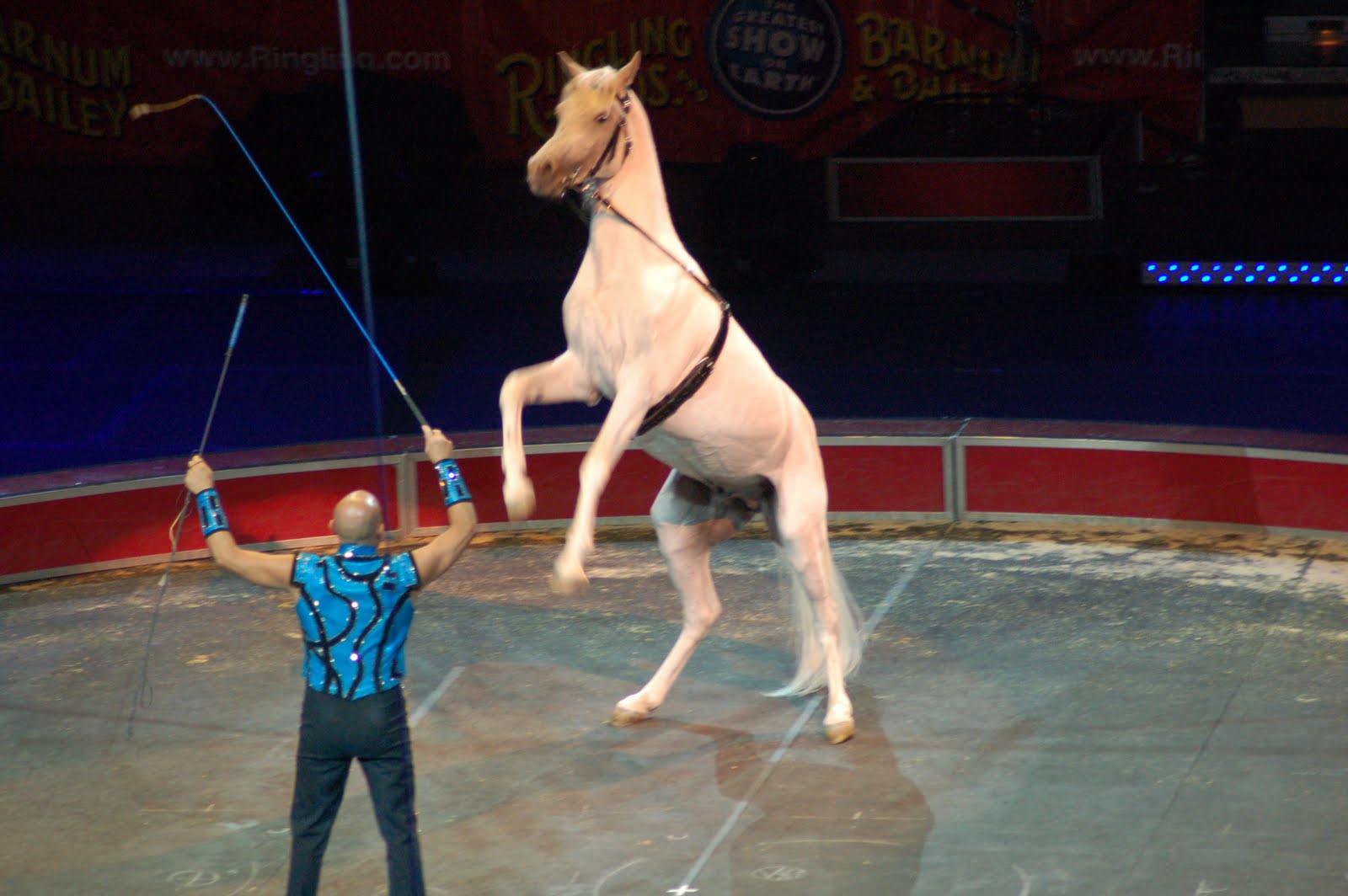 My Little Patch of Sunshine: Review: Ringling Bros and Barnum & Bailey ...